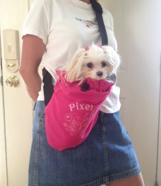 ViaGen Pets & Equine – Genetic Preservation, Cloning Edit